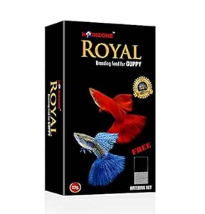 Royal Guppy Breeding Pellet Fish Food for All Life Stages 22g (4) : Amazon.in: Pet Supplies