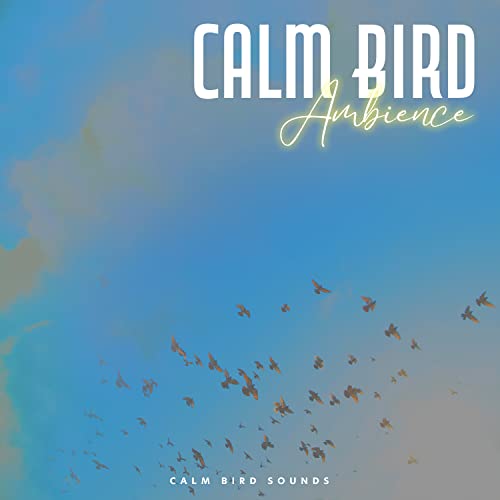 Reproducir Calm Bird Ambience de Calm Bird Sounds en Amazon Music