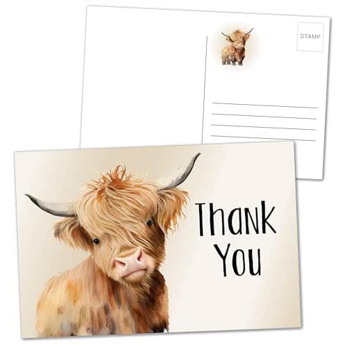Amazon.com: 25 Highland Cow Postcard Thank You Notes for Farm Barnyard ...