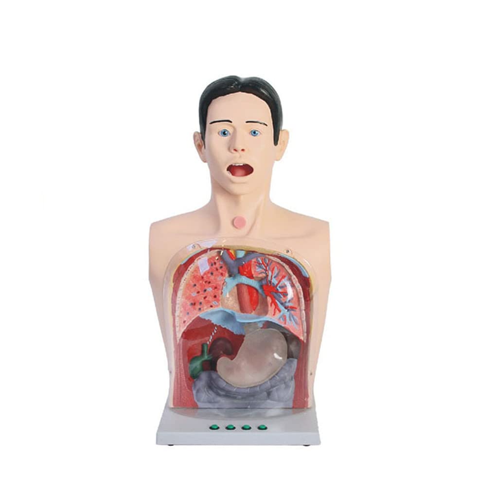 Gastric Lavage Strong, Durable And Reusable Medical Gastric Lavage