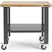 Amazon.com: Gladiator GAMW36HWEG Mobile Workstation, Multicolor : Home ...