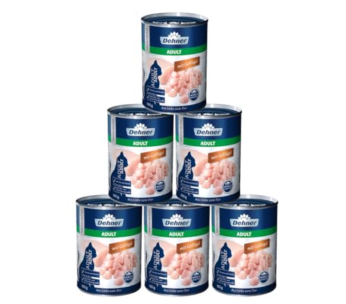 Cachet Premium Katzenfutter – Die 16 besten Produkte im Vergleich ...