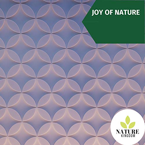 Play Joy of Nature by Nature Field Recordings & Nature Atmospheres on ...