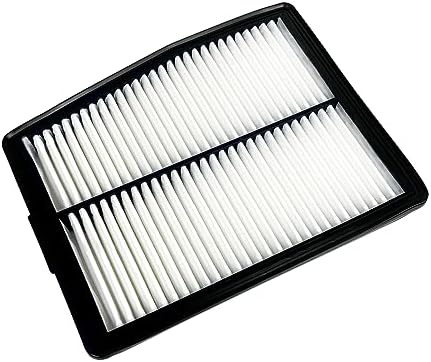 Amazon.com: Genuine OEM 28113-L1000 Air Cleaner Filter / 28113L1000 for ...