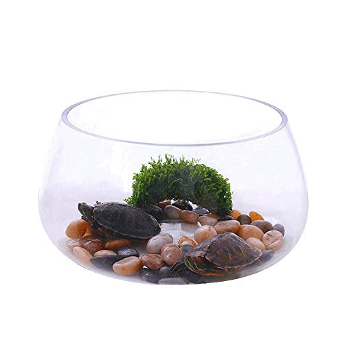 Peceras Pequeñas Redondas - Hiper Asia