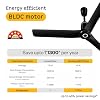 Buy atomberg Aris Contour Smart 1200mm BLDC Ceiling Fan with Remote | 5 ...
