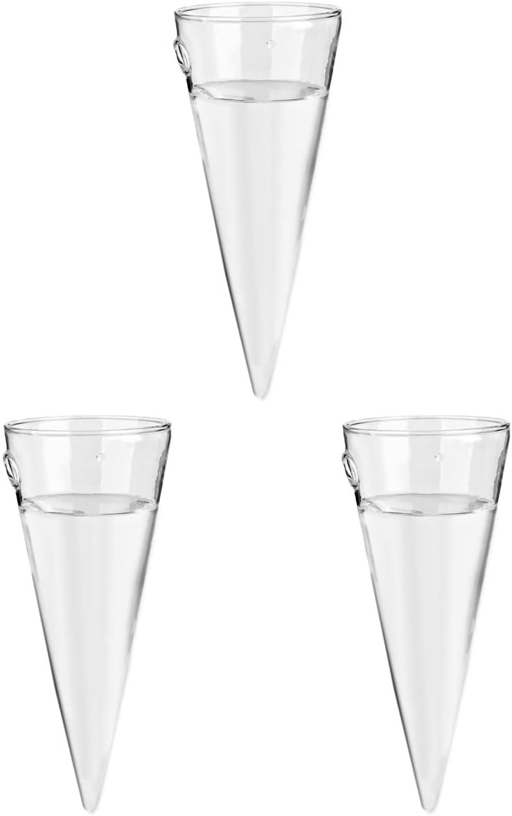 Amazon.com: Healeved 3PCS Glass Wall Hanging Planter Propagation ...