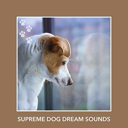 Supreme Dog – Die 16 besten Produkte im Vergleich - Haustierratgeber ...