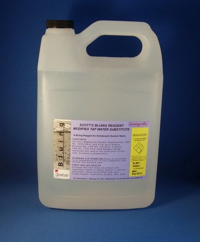 Bluing Reagent, Scott’s Formula, 4 L (4 Liter): Science Lab Supplies ...