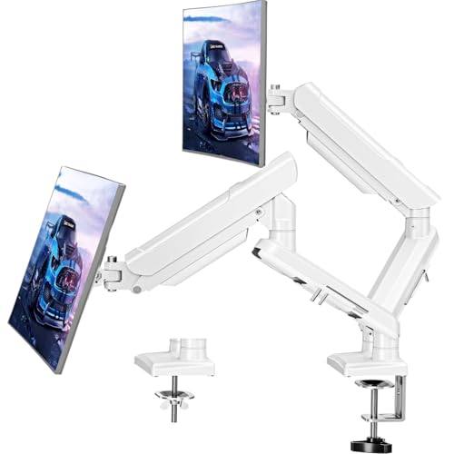 10 Best Dual Monitor Mounts | 2026