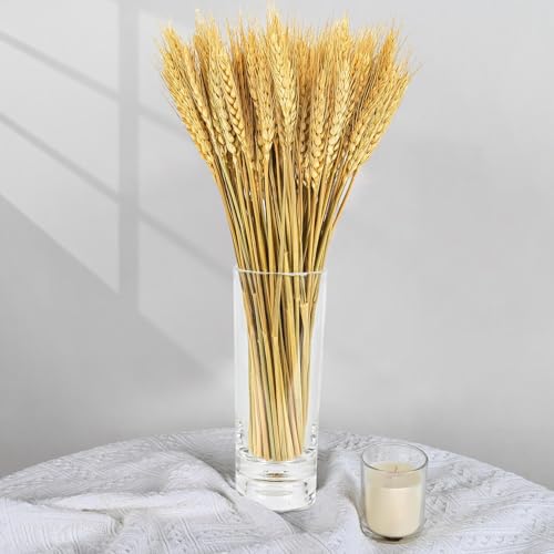 60 Fall Decor Ideas: Transform Your Home With Seasonal Charm