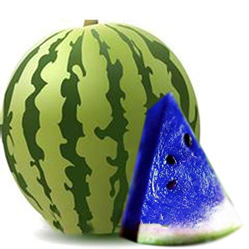 Blue Watermelon