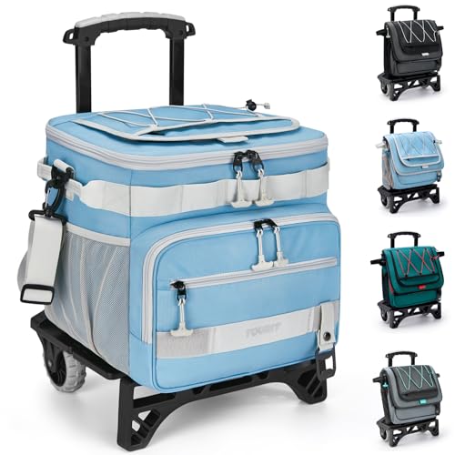 Top 10 Best Rolling Cooler For Beach : Reviews & Buying Guide - Katynel