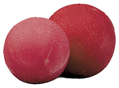 Amazon.com: Champion PG8.5-RED Playground Ball, 2-Ply Nylon-Wound, 8-1/ ...