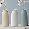 Amazon.com: Ceramic Vase Set for Home Decor, Multicolor, Set of 3, for ...