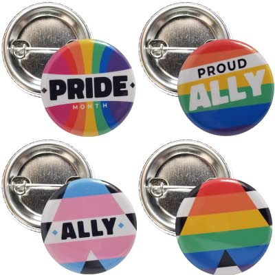 Amazon.com: LGBTQ ALLY Flag pin set: VARIETY PACK - small pinback ...