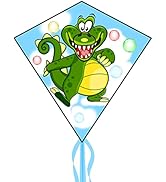 Amazon.com: JEKOSEN Butterfly Huge Kite for Kids and Adults Easy to Fly ...