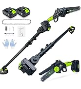Amazon.com : V-MODEST 4-in-1 Pole Saw & Electric Pruning Shears, 8 Inch ...