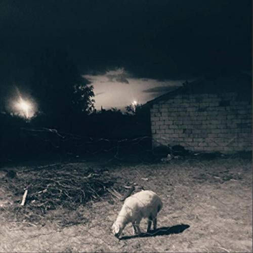 Fati's Dream Song de Ryan Leaver en Amazon Music Unlimited