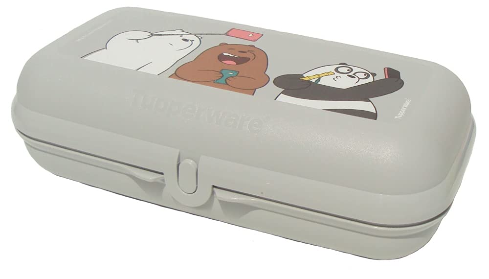 Buy Tupperware Packables Clamshell Rectangular Container Hoagy Keeper ...