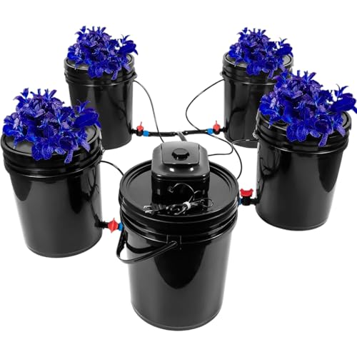 Dwc System – Die 15 besten Produkte im Vergleich & Angebote ...