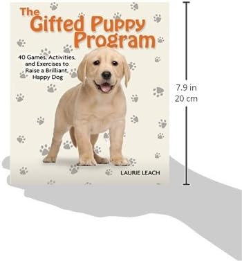 What Is A Puppy Plan