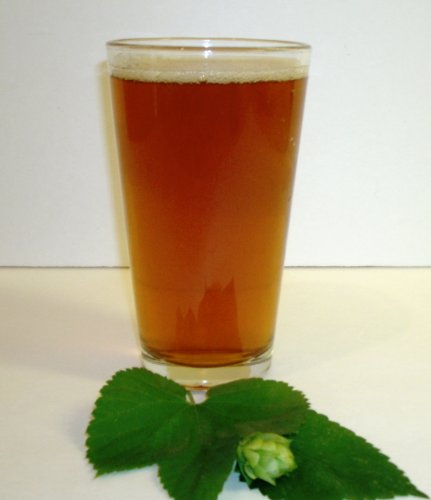 Amazon.com: 1 Gallon Beer Recipe (Marzen Fest) : Home & Kitchen