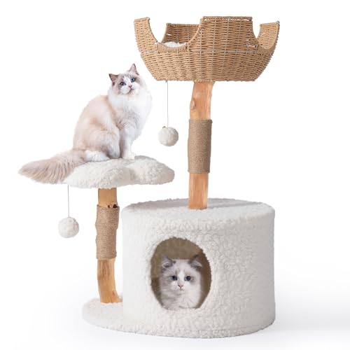 Chewy Cat Trees – The 15 best products compared - Wild Explained