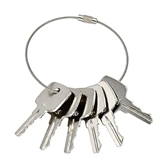 Amazon.com: Notonparts 6PCS AR51481 Ignition Keys AT195302 AT145929 ...