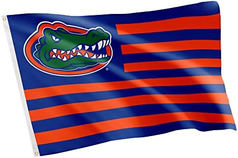 Amazon.com : Desert Cactus University of Florida Flag UF Gators Banner ...