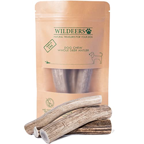 Top 10 Best Antler Chews For Dogs : Reviews & Buying Guide - Katynel