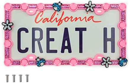 Amazon.com: FD&D Custom License Plate Frame,Starter Kit with Silver ...