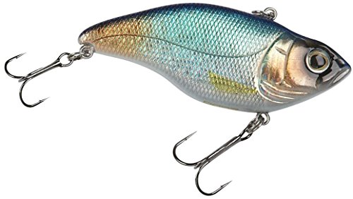 Spro Blue Arc – Die 15 besten Produkte im Vergleich - Die besten Angel ...