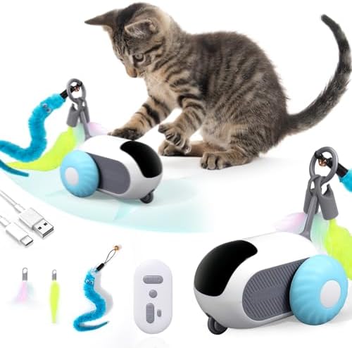 Amazon.com: Heuceou Automatic/Remote Control Cat Toy, Smart Obstacle ...