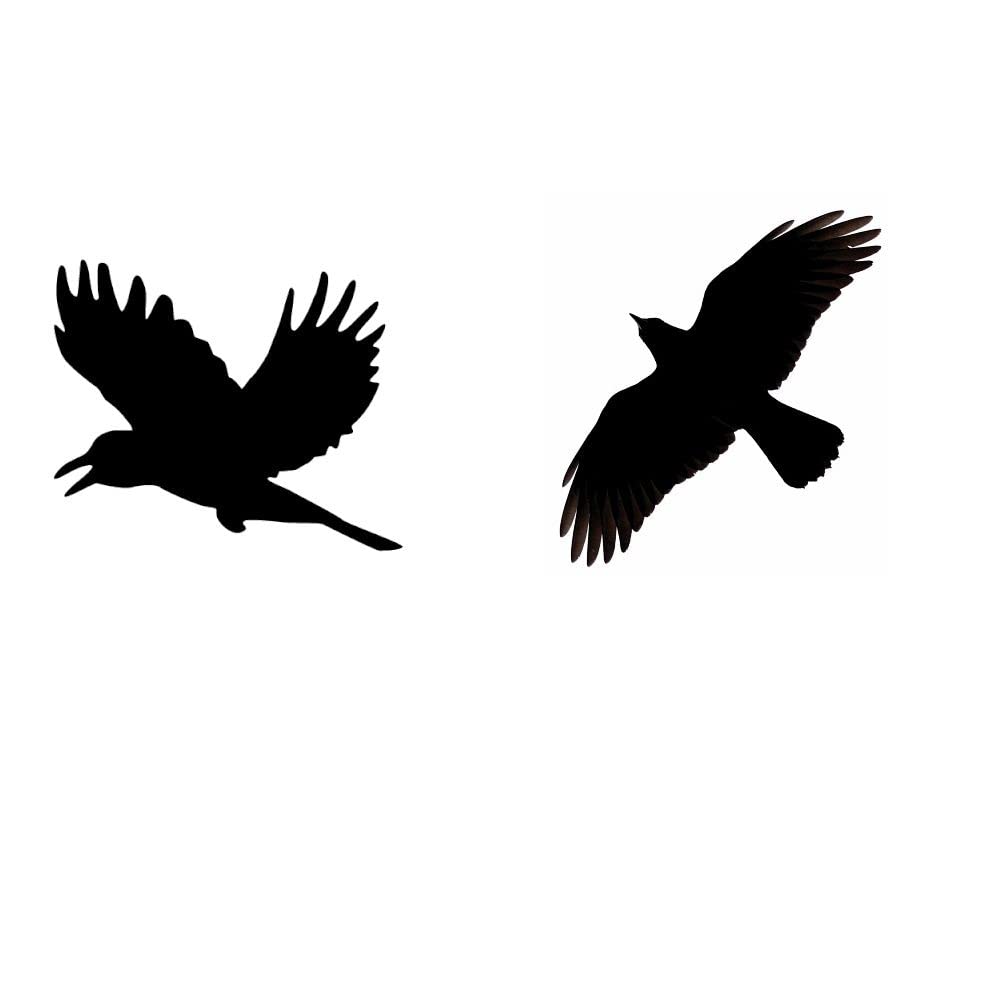 Flying Crow Stencil