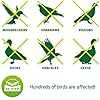 Amazon.com : 3 Pack De-Bird Duck Deterrent for Pool, Bird Repellent ...