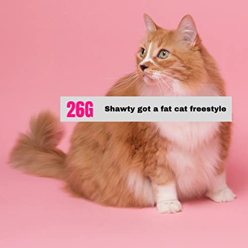 Play Shawty Got a Fat Cat Freestyle by 26g on Amazon Music Unlimited