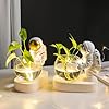 Amazon.com: Astronaut Planter, Spaceman Glass Vase，Astronaut Resin ...