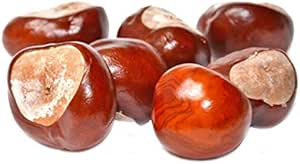 Real Chestnuts, 50 Dry Chestnuts for Crafting, Conkers, DIY, Autumn ...
