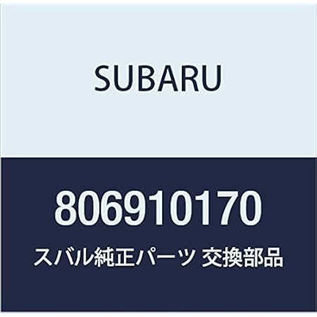 Amazon.com: Subaru Genuine 806910170 O-Ring, 1 Pack : Automotive