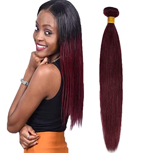 Amazon.com: Ombre Bundles 1b99j Straight Human Hair Bundles Black and ...