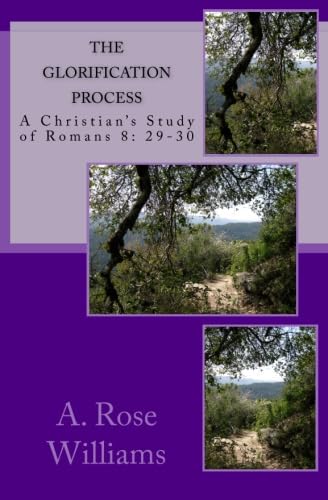 The Glorification Process: A Christian's Bible Study of Romans 8: 39,40 ...