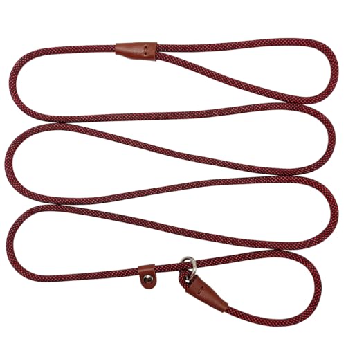 Best Leash For Border Collie: Top Picks For Active And Smart Dogs - Vet ...
