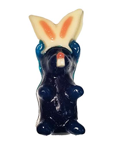 Amazon.com : The Gummy Bear Guy (TM) | Bunny Gigantic Gummy Bear (TM ...