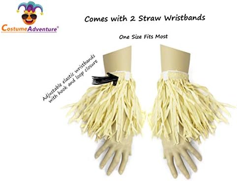 Amazon.com: Straw Scarecrow Costume Kit with Scarecrow Hat Fake Straw ...