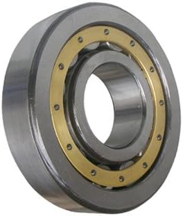 SKF N209 ECP Cylindrical Roller Bearing : Amazon.co.uk: Automotive