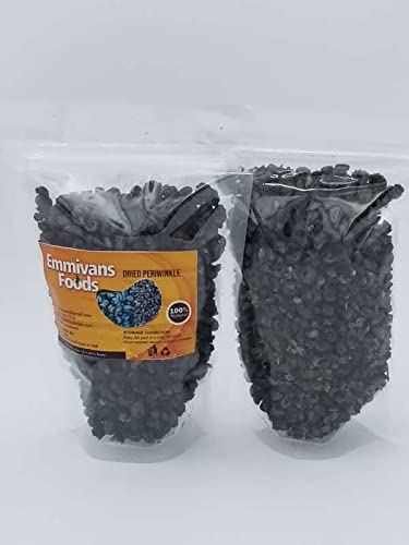 Amazon.com: Dried Periwinkle Isam Shell Free, 4oz : Grocery & Gourmet Food