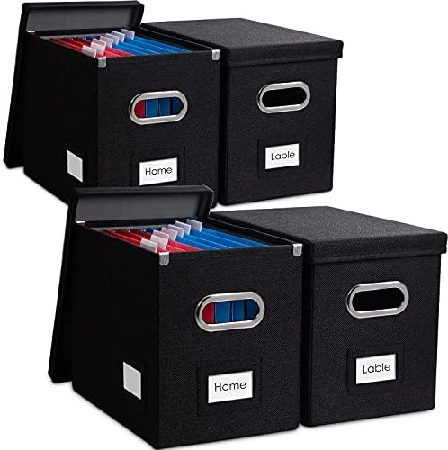 Amazon.com : PRANDOM File Organizer Box - Set of 1 Collapsible ...