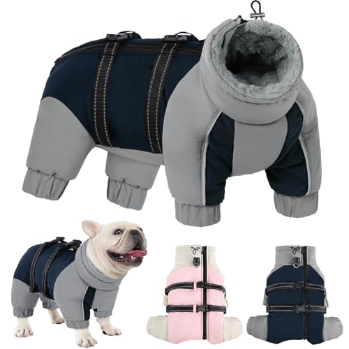 Snow Suit for Dogs – The 15 best products compared - Wild Explained