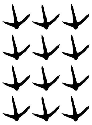 Turkey Prints Tracks Animal - Sticker Graphic - Auto, Wall, Laptop ...